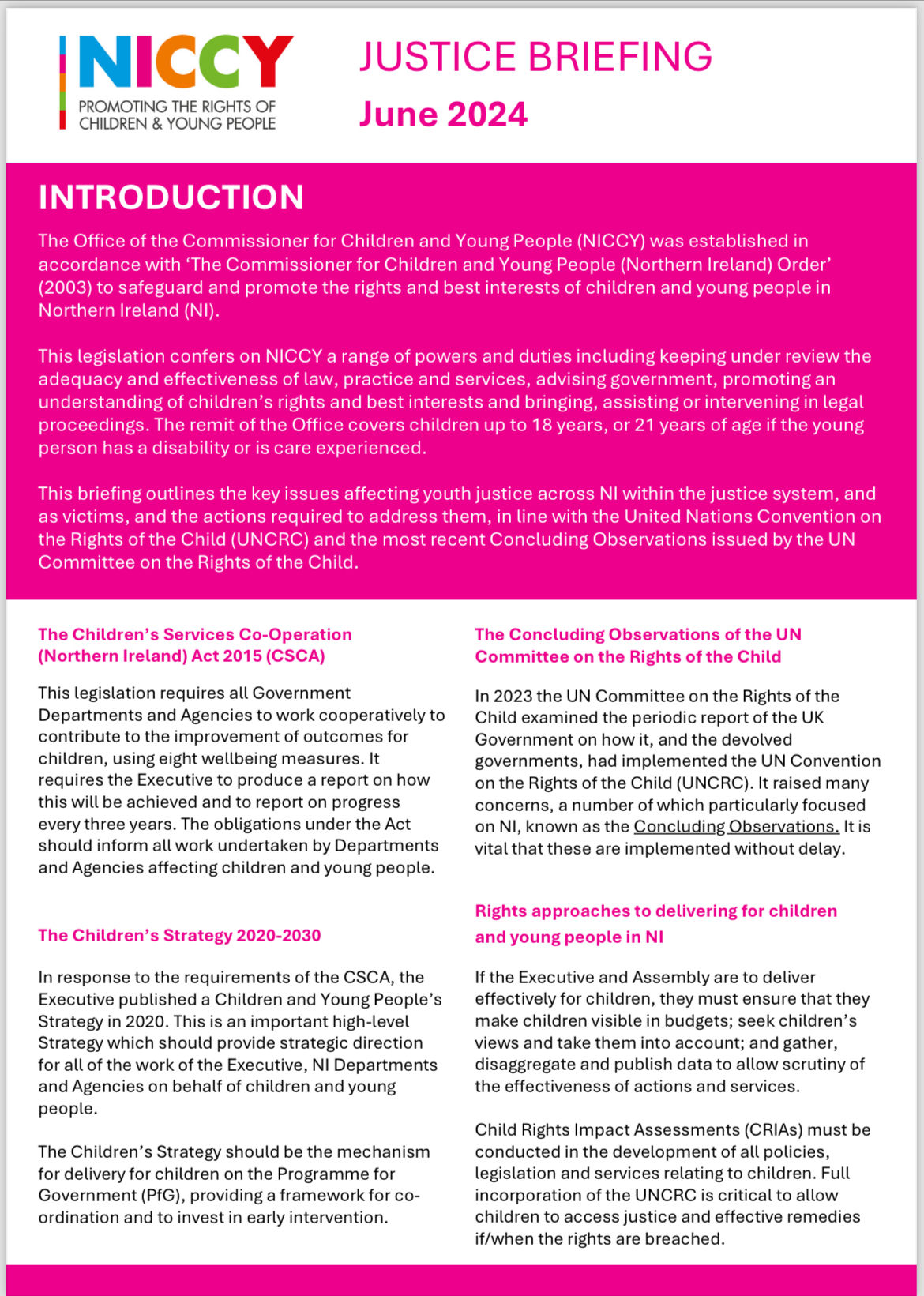 Justice Briefing – June 2024 - Niccy