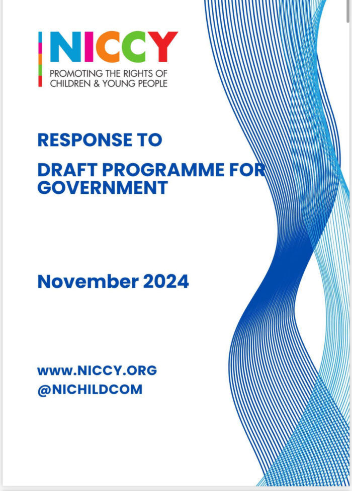 Response to draft Programme for Government - November 2024 - Niccy