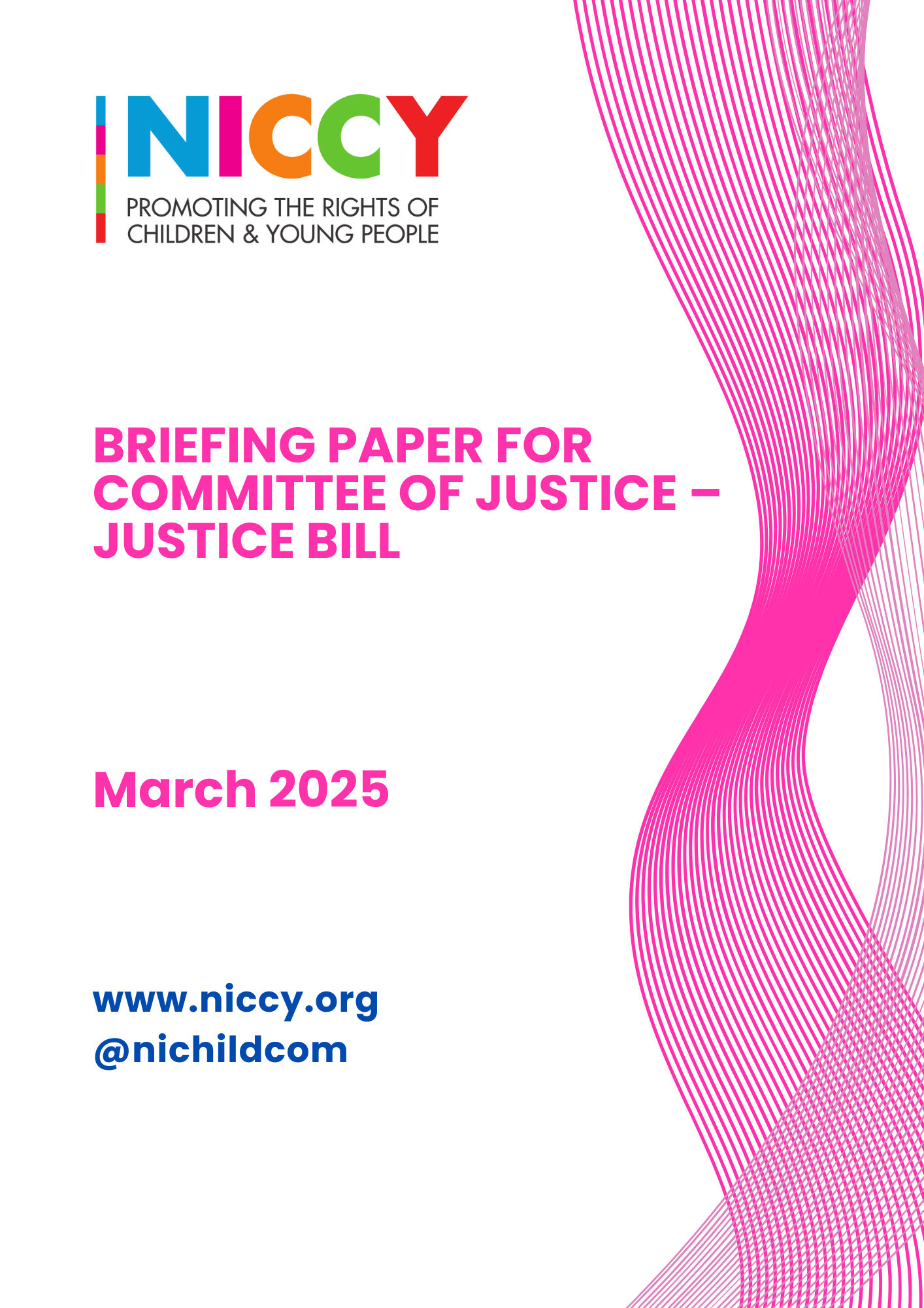 Justice Bill Briefing March 2025 - Niccy