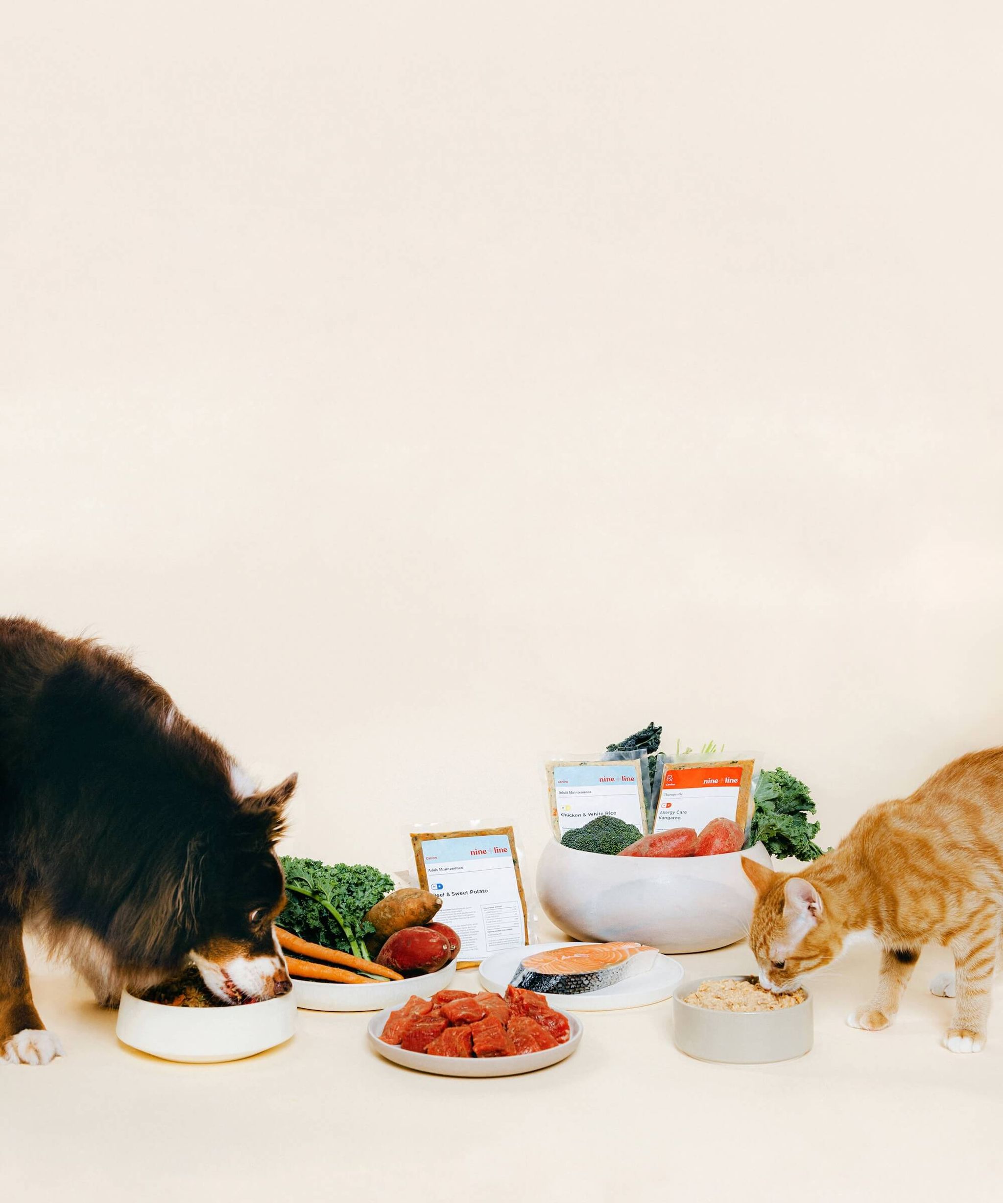 Nine & Line | Nine & Line | Vet-Crafted Pet Food