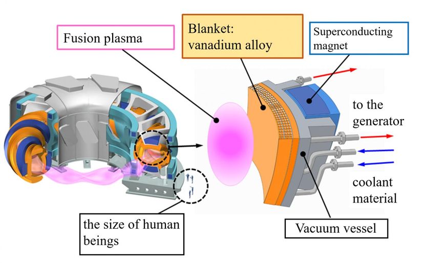 Developing new materials for the fusion reactor