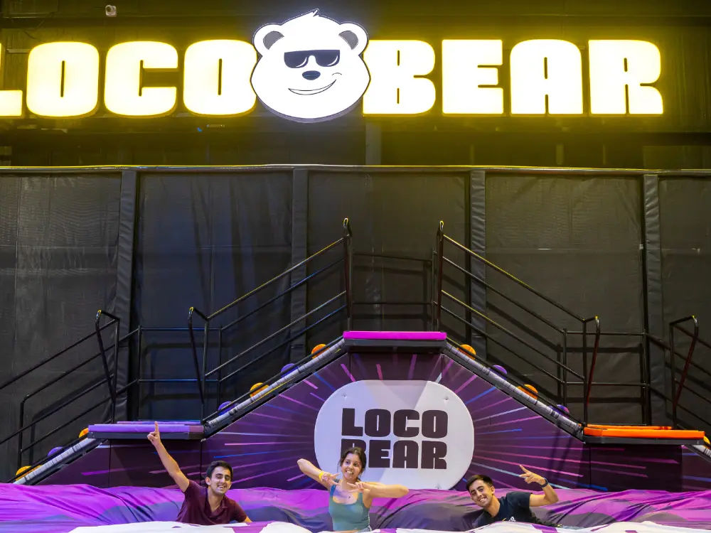 Loco Bear Entertainment Hub - Discover Your City