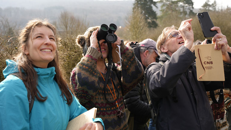 Cercles des Naturalistes de Belgique - Activités nature, formations et ...