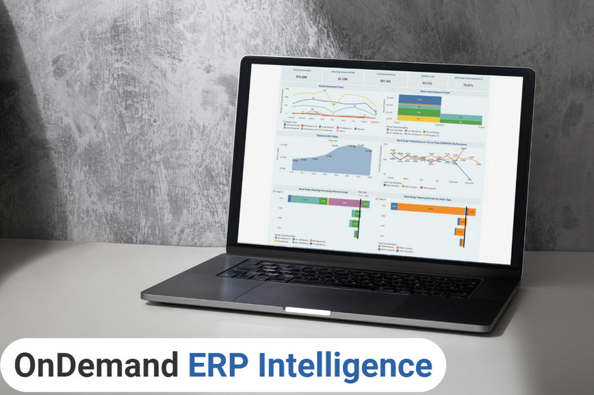 OnDemand ERP Intelligence by Vueterra