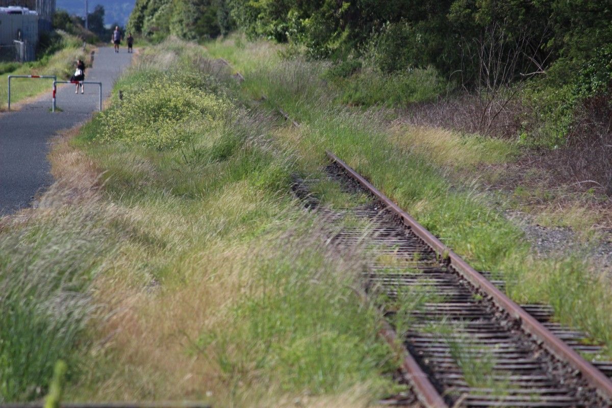 Photos - Rotorua Railcruising - nzrailphotos.co.nz
