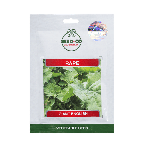 Zim-Zone. SEED-CO ENGLISH GIANT RAPE SEEDS