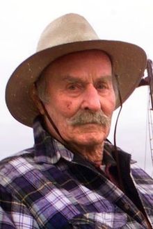 Jaws(1975) | Winner of 4 Awards | Awards Box