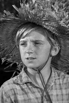 To Kill a Mockingbird(1962) | Winner of 3 Awards | Awards Box