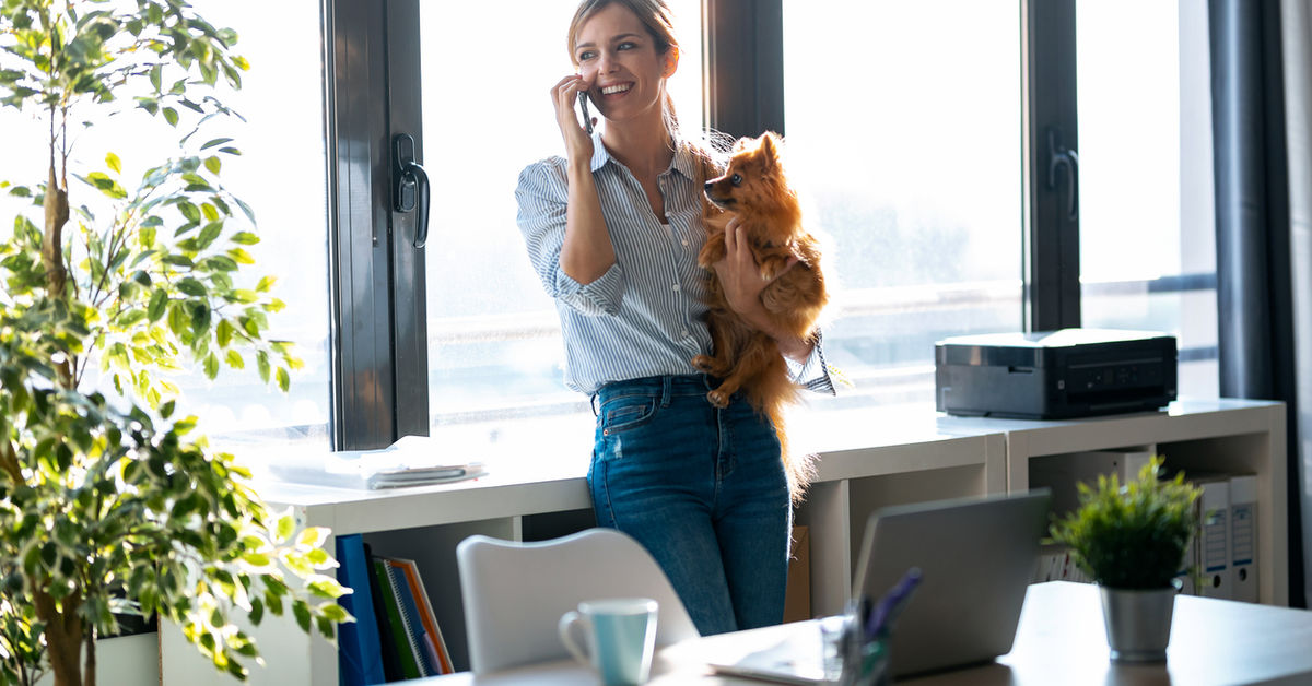 Explore Sydney's Welcoming Pet Friendly Office Spaces