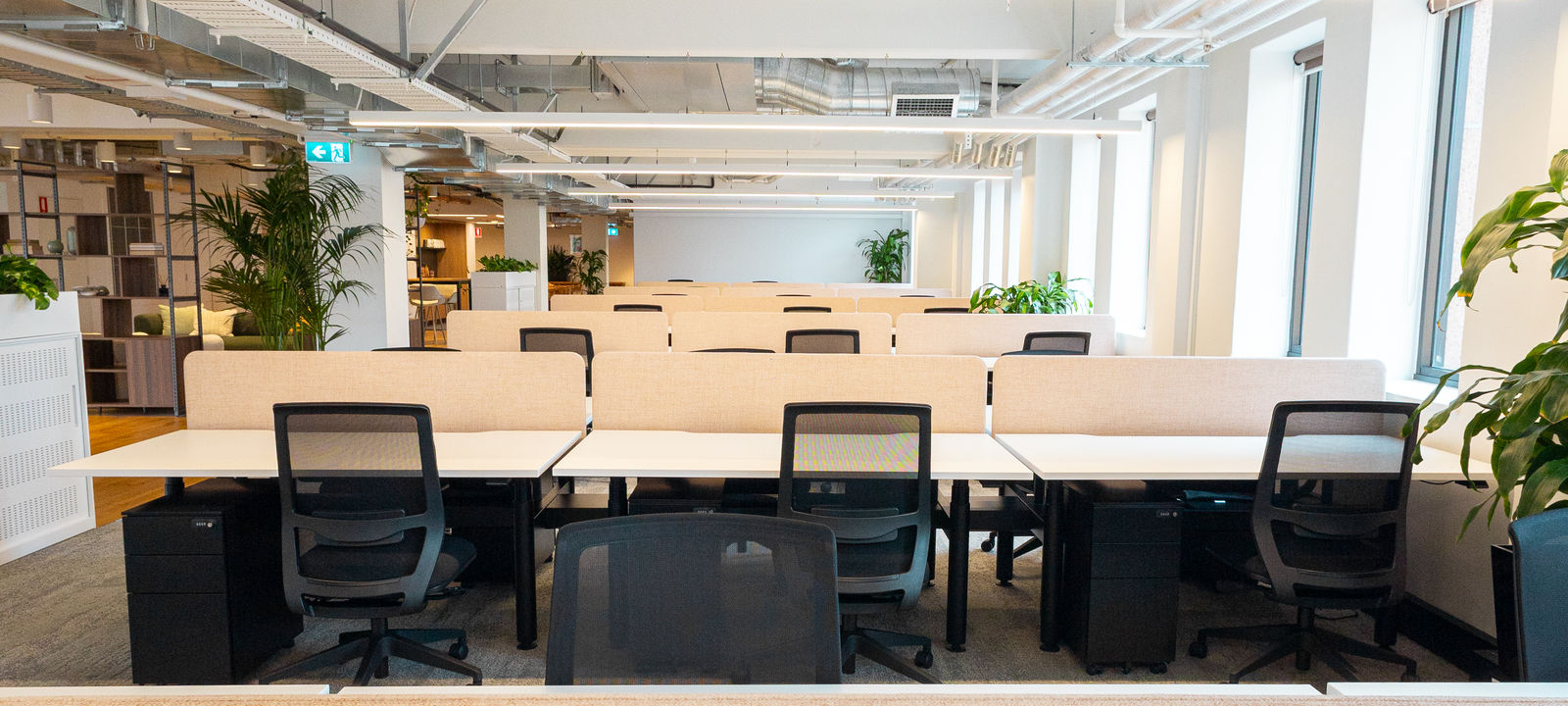 13 Person Coworking Space at 66 King Street, Sydney | Office Hub