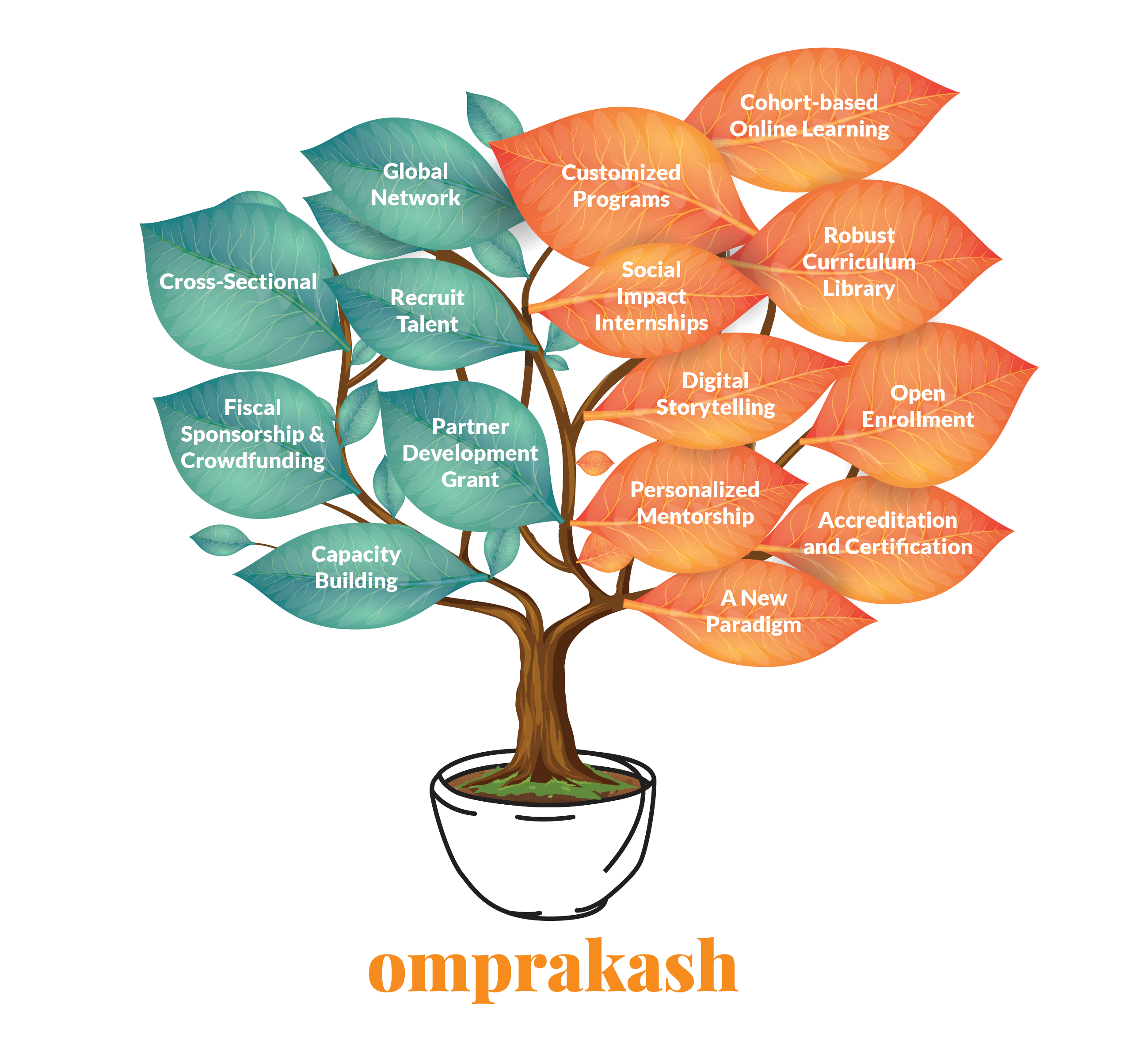 Intern or volunteer abroad in 40+ countries | Volunteer or Intern ...