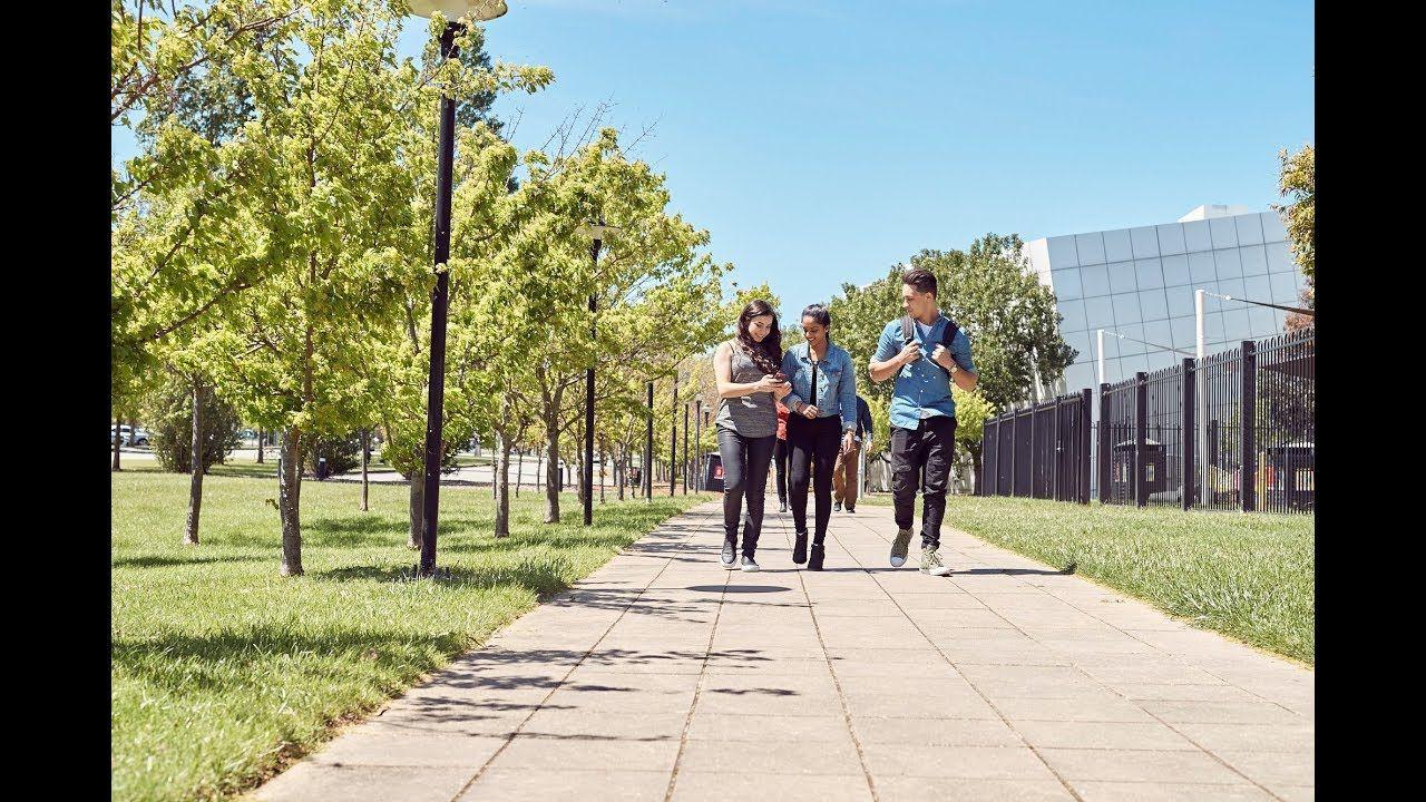 Federation University - Berwick: Ranking, Courses and Fees, Requirement ...