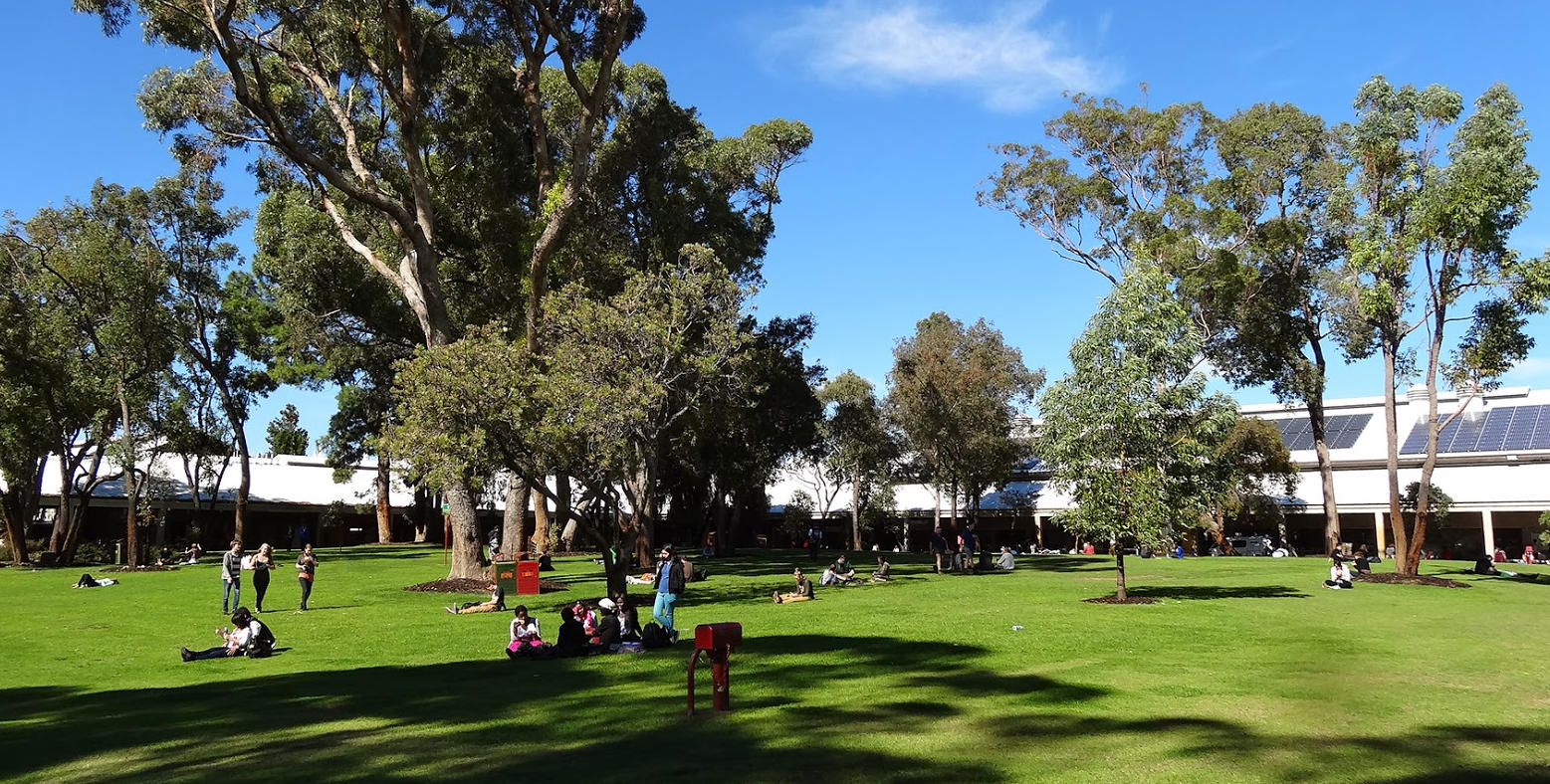 Murdoch University - Perth: Ranking, Courses and Fees, Requirement ...