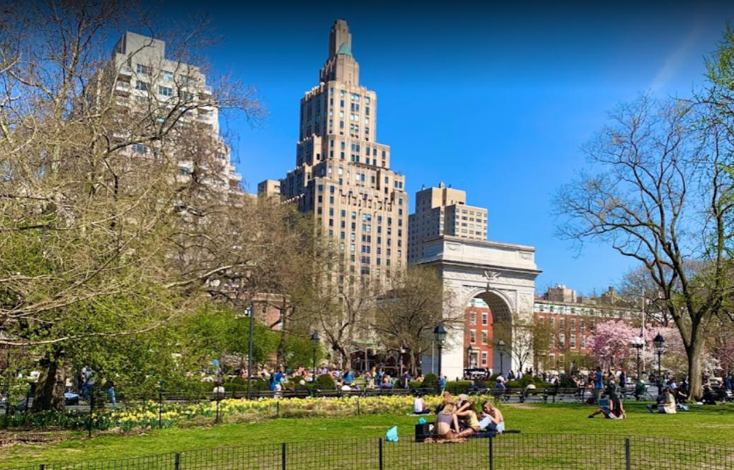 New York University Rankings 2025: Latest World and National Rankings