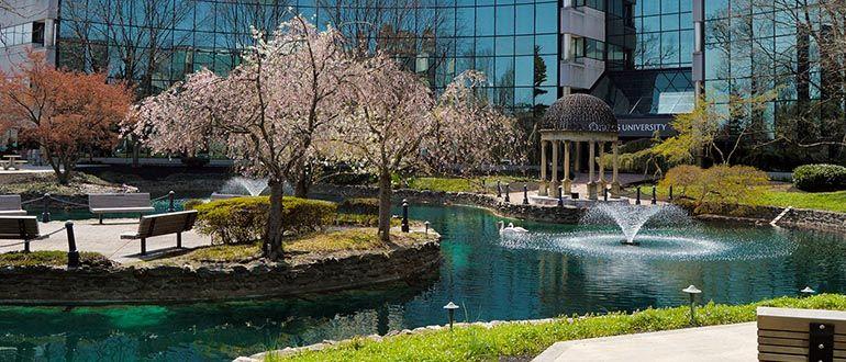 Salus University: Ranking, Courses and Fees, Requirement & Alumni for 2025