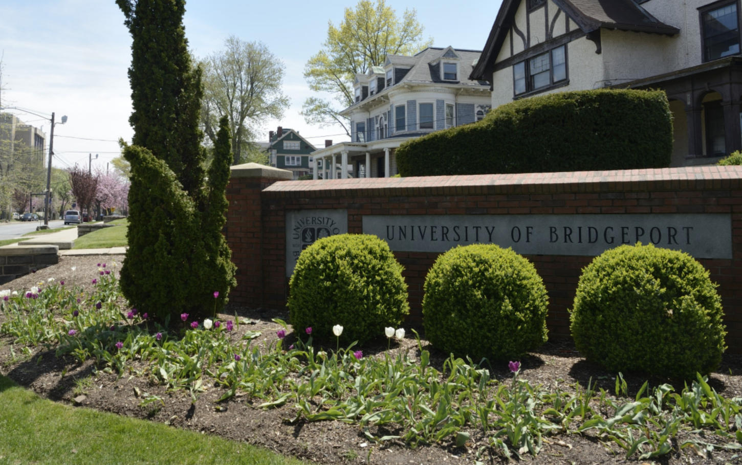 University of Bridgeport: Ranking, Courses and Fees, Requirement ...