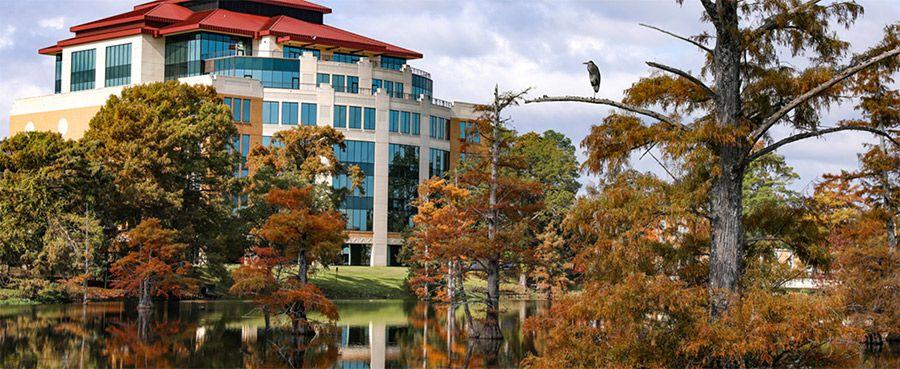 University of Louisiana at Monroe Admissions: Acceptance Rate, Intakes ...