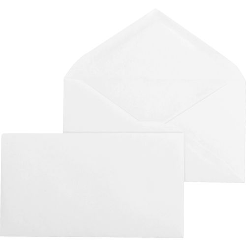 Diagonal Seam No. 9 Envelopes by Business Source BSN04469 ...