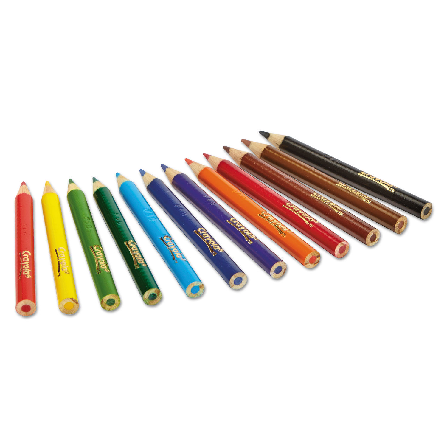 Short-Length Colored Pencil Set by Crayola® CYO684112 | OnTimeSupplies.com