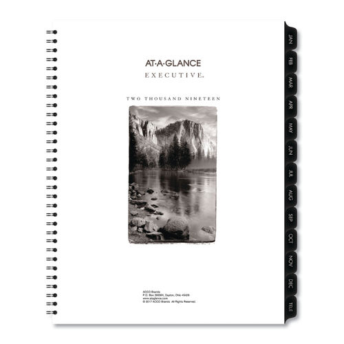 Executive Fashion Weekly/Monthly Planner Refill by At-A-Glance ...