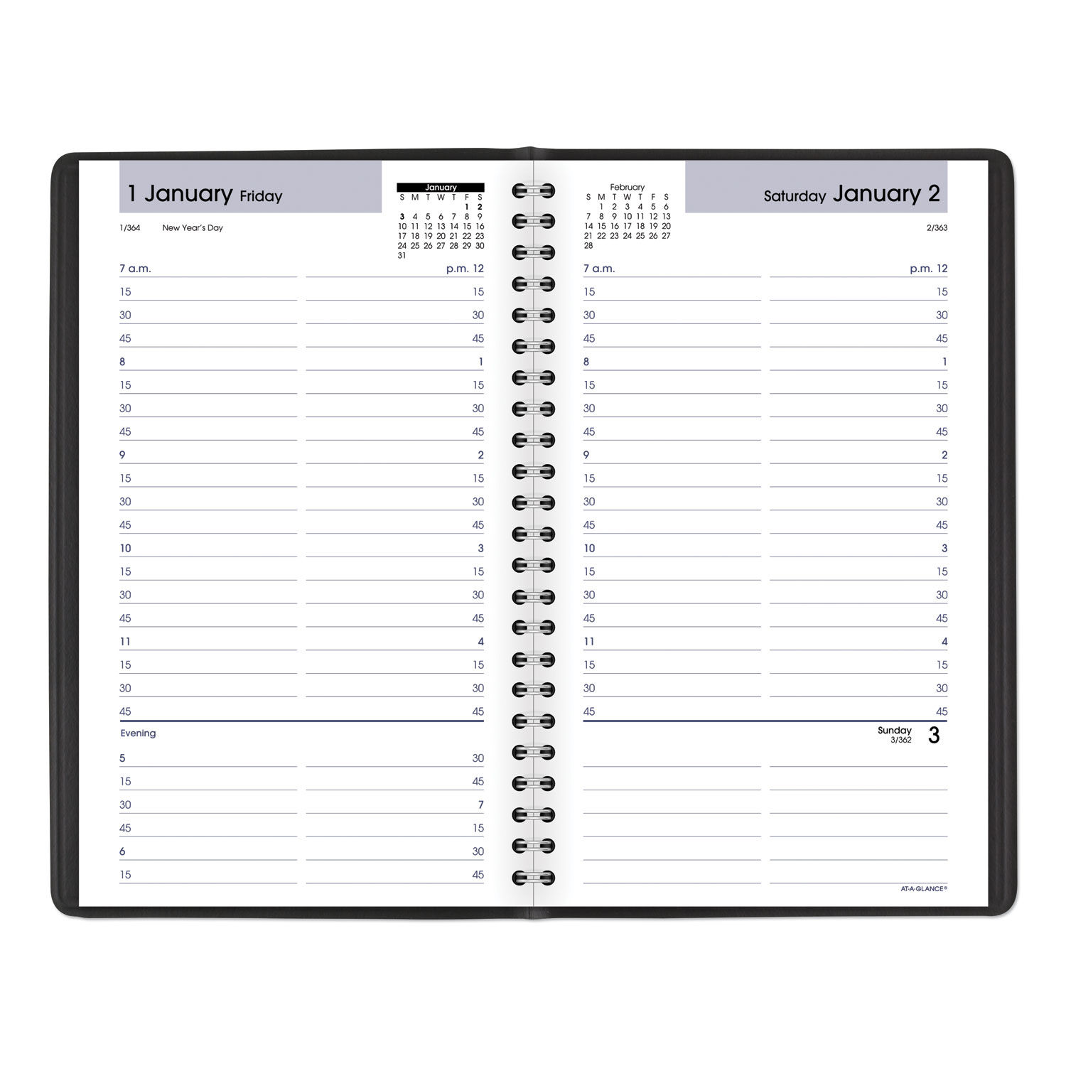 DayMinder Daily Appointment Book by AT-A-GLANCE® AAGG10000 ...