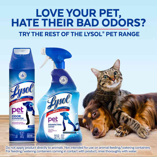 Disinfectant Spray II Pet Odor Eliminator by LYSOL® Brand RAC99804CT ...