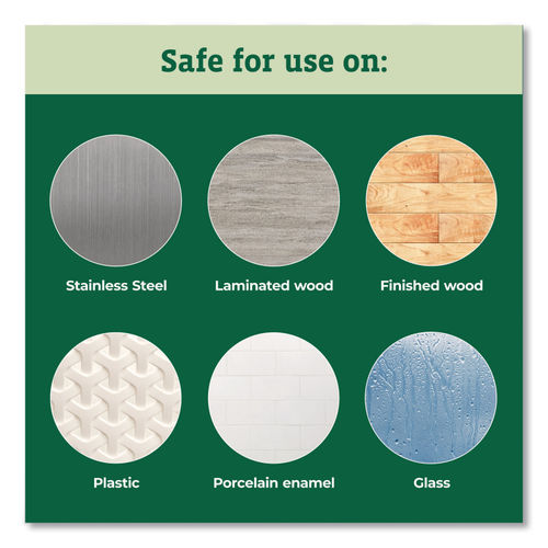 Clorox Pro EcoClean Disinfecting Cleaner by Clorox® CLO60094CT ...