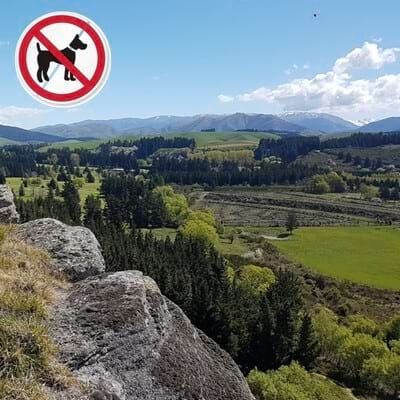 Day Walks in Selwyn - Selwyn Connect