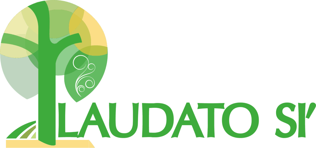 Laudato si’: há 10 anos, um novo patamar de reflexões sobre o cuidado ...