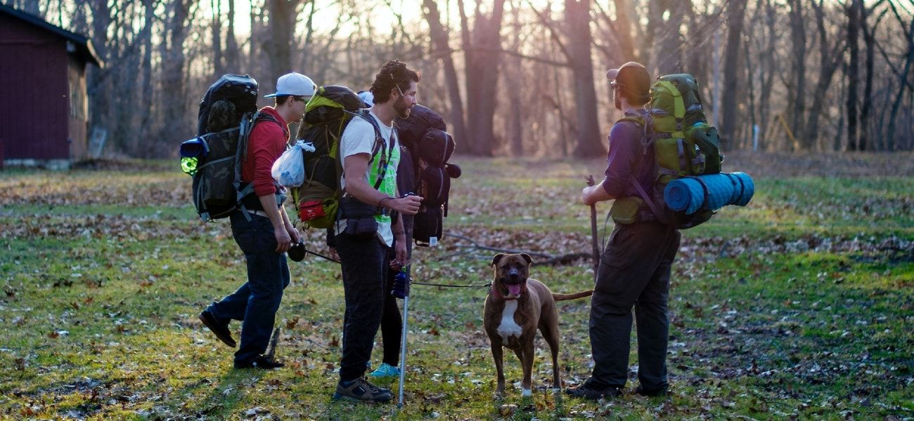 Best PLBs in Australia - Which Emergency Beacon Is #1?