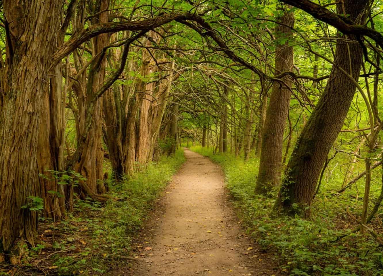 2023 MetroParks Trails Challenge - OuterSpatial