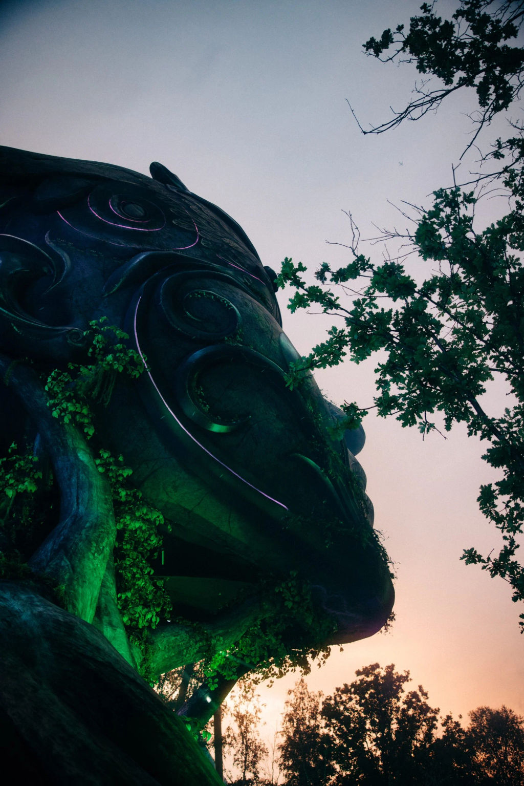 Tomorrowland Line up: 10 must-see acts | P1 Travel