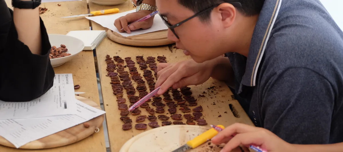 Thailand Chocolate Journey Part 6 | Food Covery