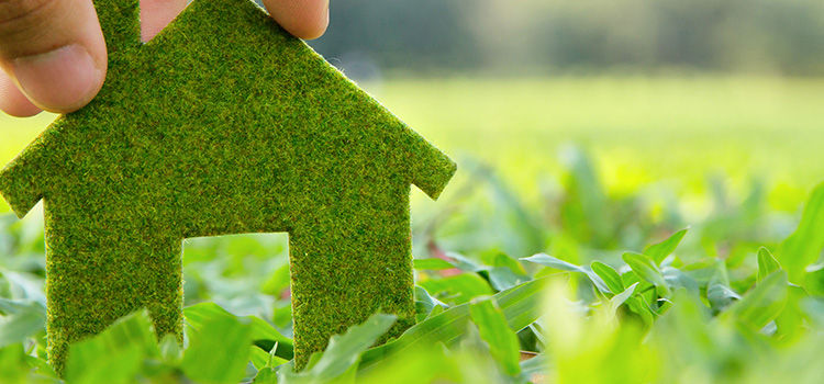 Protecting the Environment in the Areas We Build