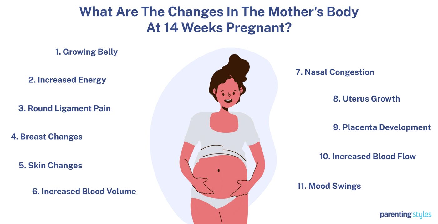 14 Weeks Pregnant Symptoms: Week 14 Of Pregnancy And Prenatal Care