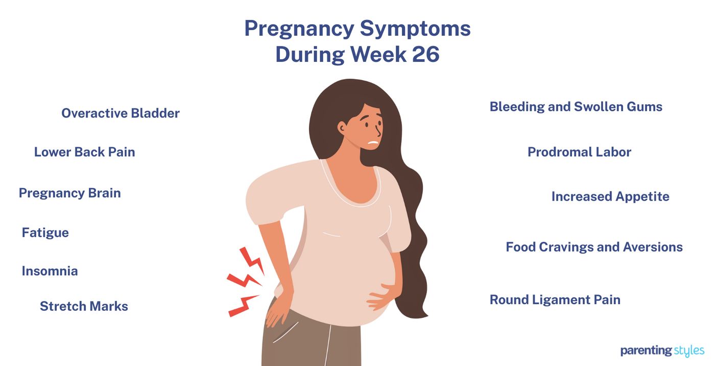 26 Weeks Pregnant Symptoms: Week 26 Of Pregnancy And Prenatal Care