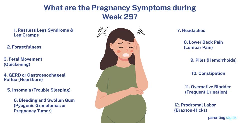 29 Weeks Pregnant Symptoms: Week 29 Of Pregnancy And Prenatal Care