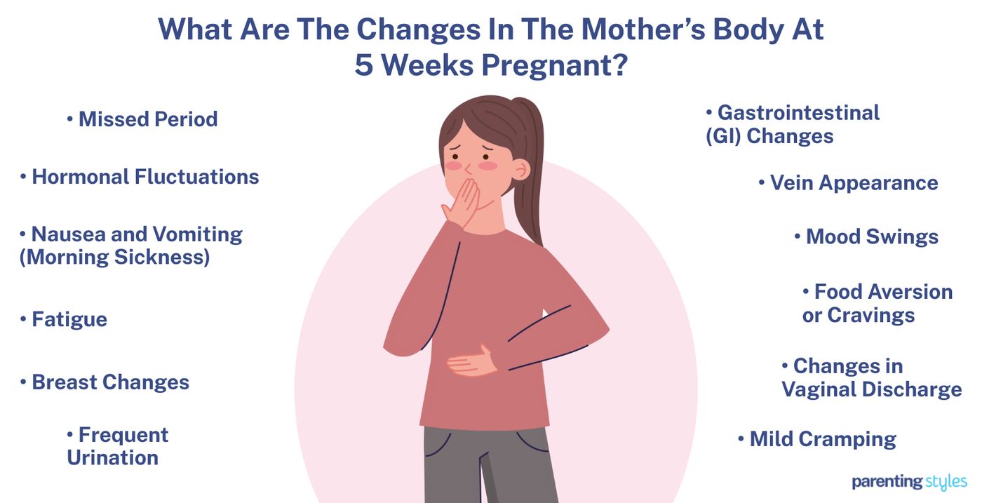 5 Weeks Pregnant Symptoms: Week 5 Of Pregnancy And Healthy Tips