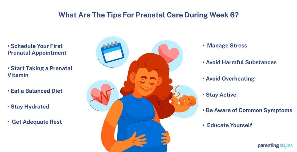6 Weeks Pregnant Symptoms: Week 6 Of Pregnancy And Early Prenatal Care