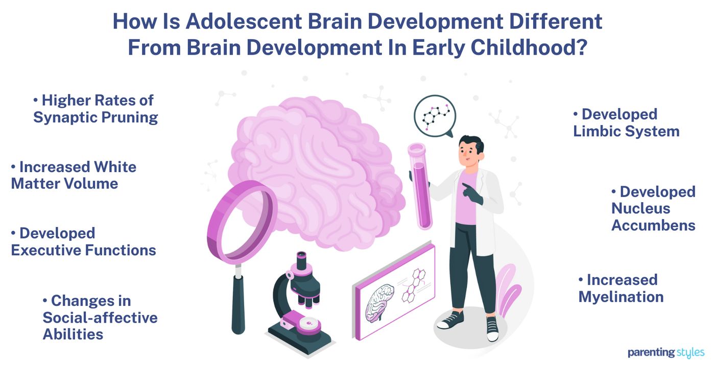 Stages Of Child Brain Development