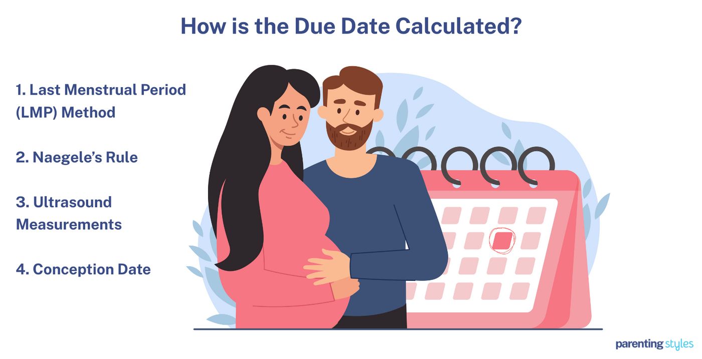 Pregnancy Calculator: Due Date Calculator