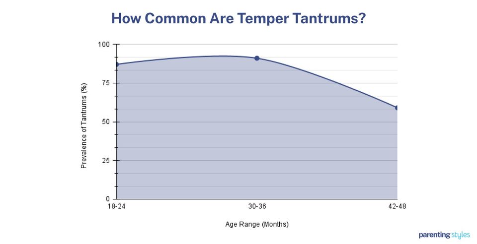 Temper Tantrums: Definition, How To Deal, And Prevention