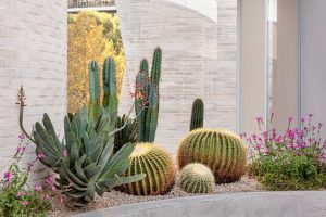 13 Desain Taman Kering, Intip Juga Tips Membuatnya - Pashouses