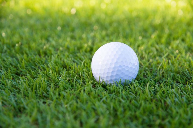 11 Jenis Rumput Taman yang Cocok untuk Rumah Anda - Pashouses