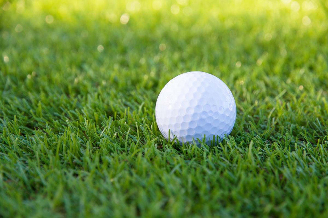 11 Jenis Rumput Taman yang Cocok untuk Rumah Anda - Pashouses