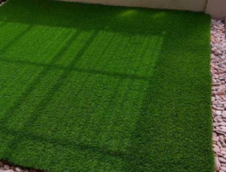 11 Jenis Rumput Taman yang Cocok untuk Rumah Anda - Pashouses