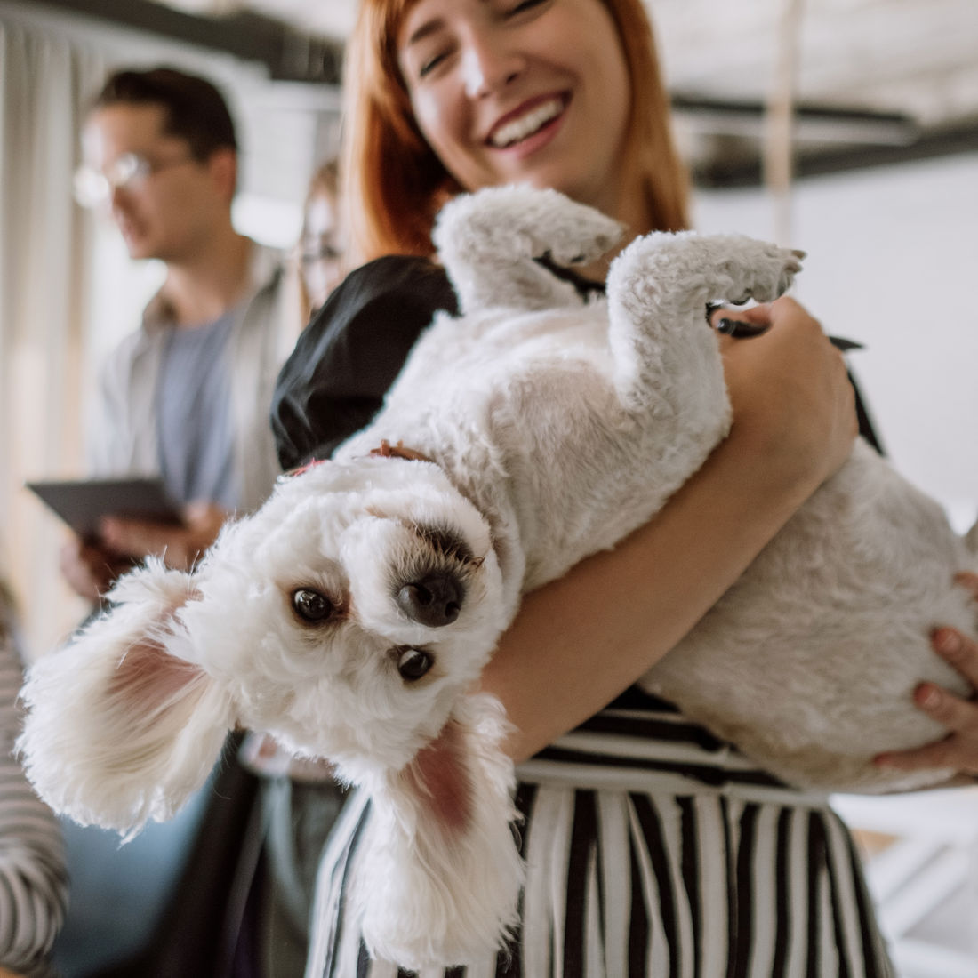 Trusted Pet Services Near You | Find Pet Care Professionals