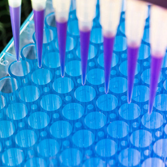 Pharma Web Design, SEO & Branding for Biostem | Life Sciences Work