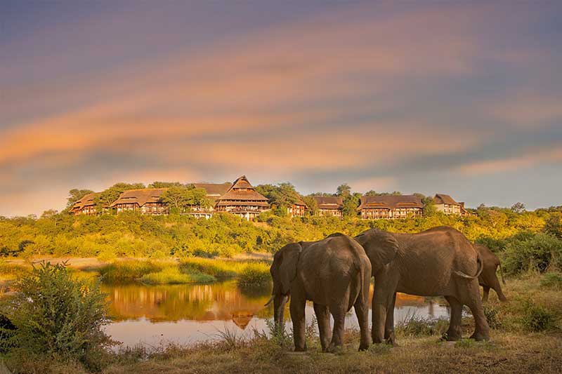 Pangolin Photo Safaris | Photographic Tours in Africa