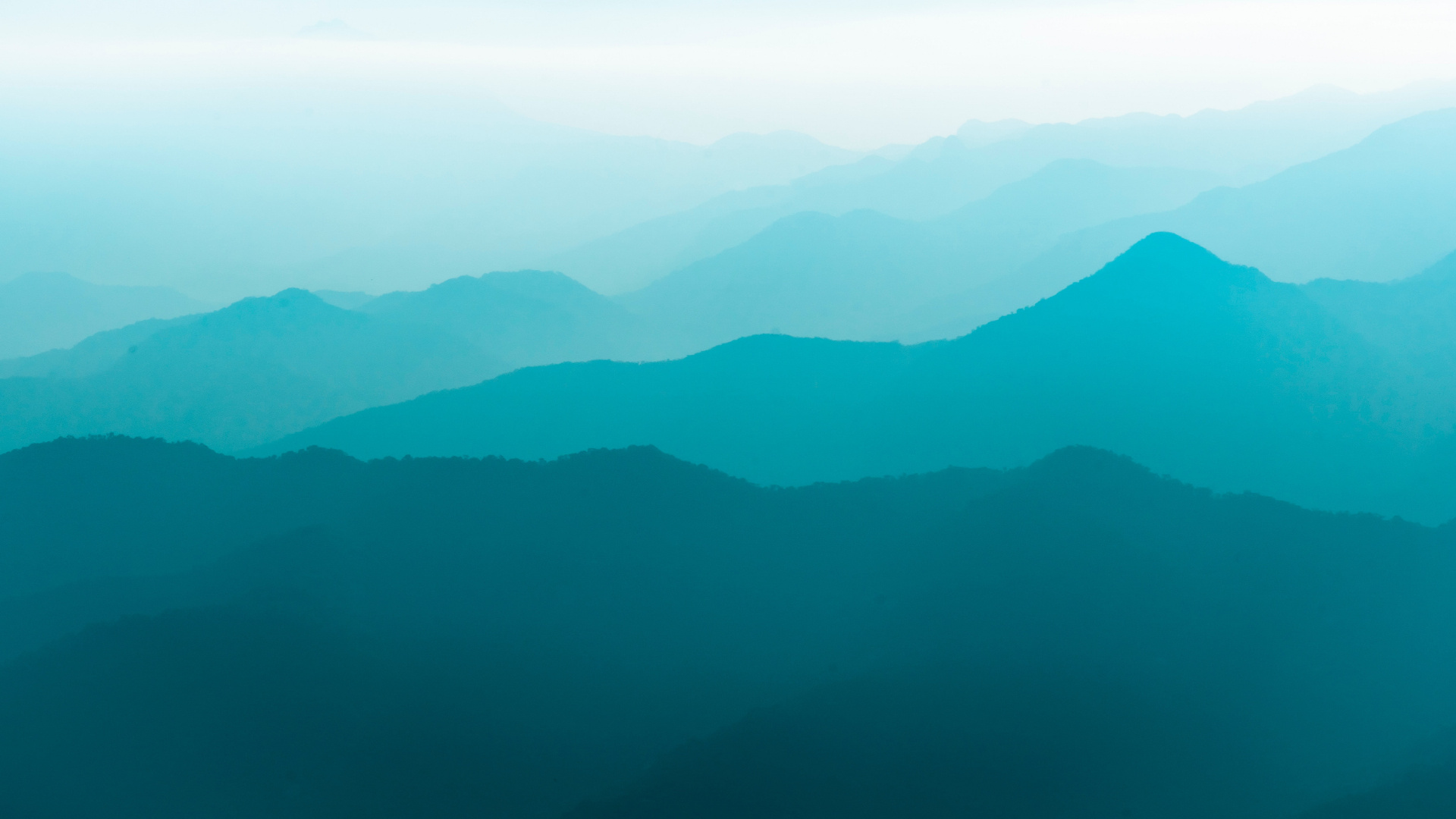 Mint | Moody Charity Mint